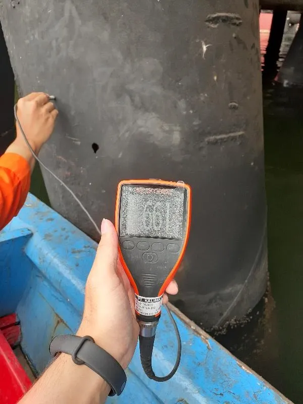 JASA CIPS, ACVG & DCVG SURVEY | Products | Perintis Proteksi