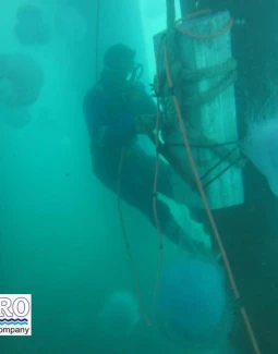 Cathodic Protection - Jetty | Gallery | Perintis Proteksi